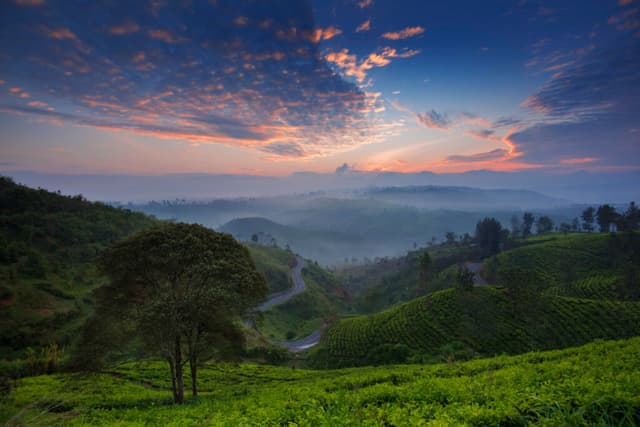 Tourist Places in Karnataka: Where Beauty Comes Alive